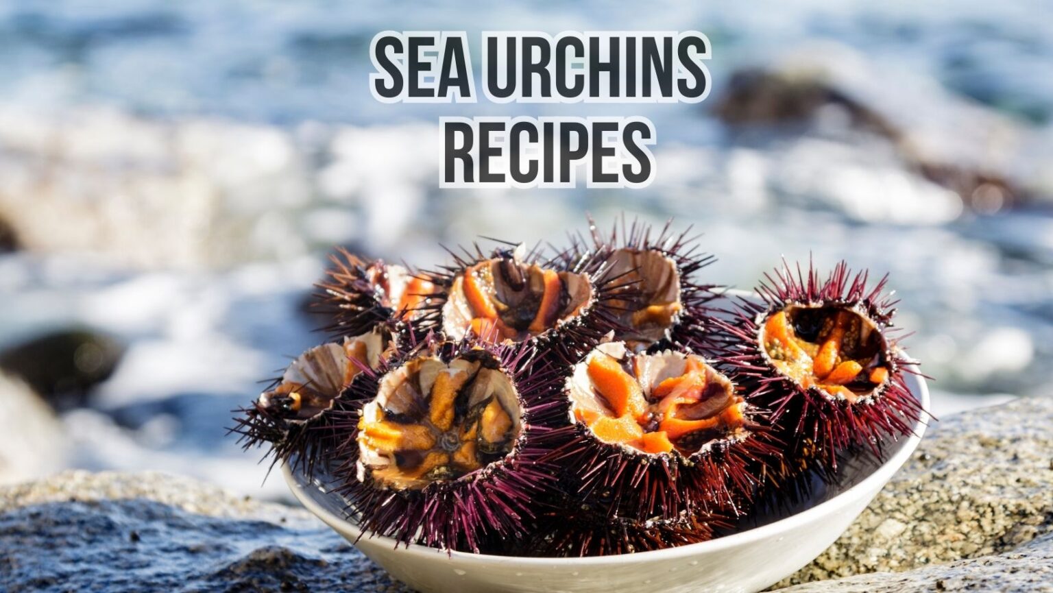 20+ Types Of Sea Urchins You Must Know - Sea Urchins Mag